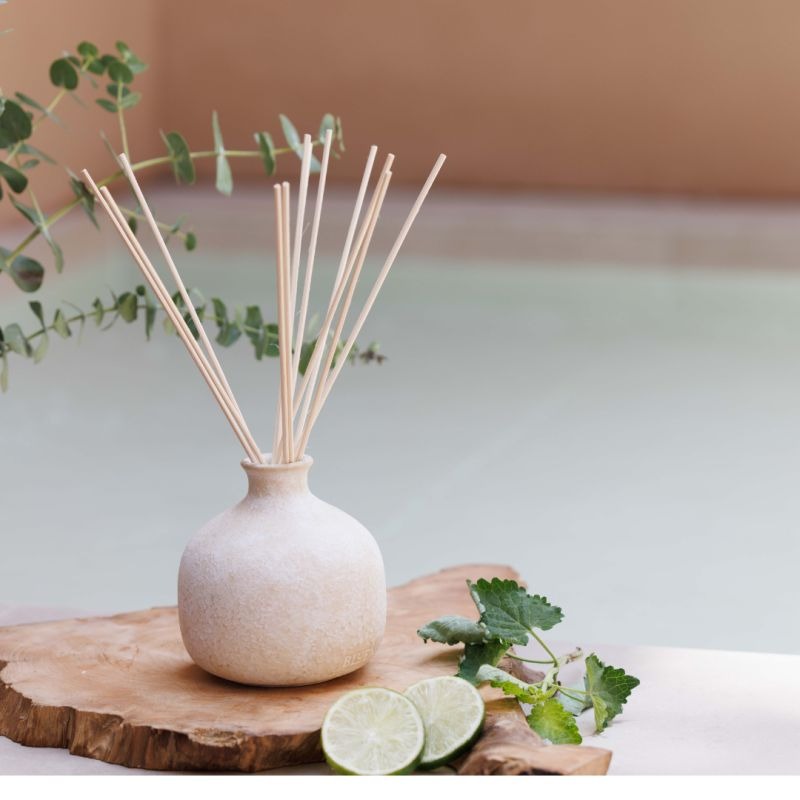 Ceramic Reed Diffusers: Lasting Scents For Your Home – Blueme