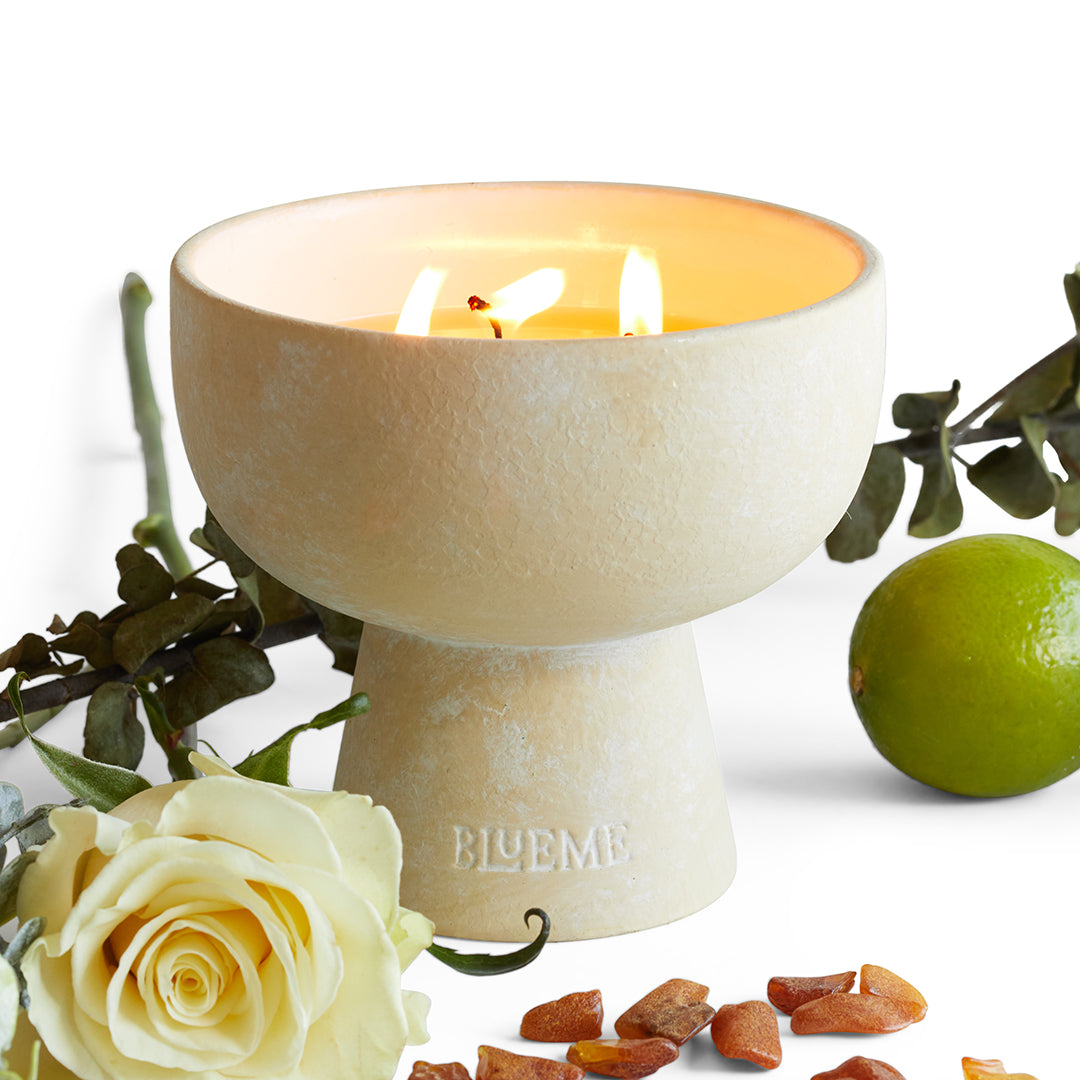 Focus - Ceramic Refillable Candle - Eucalyptus & Lime – Blueme