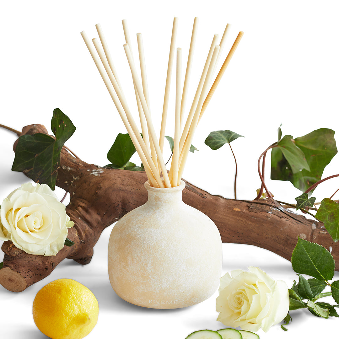 Renew - Ceramic Refillable Diffuser - Ivy & Rose – Blueme